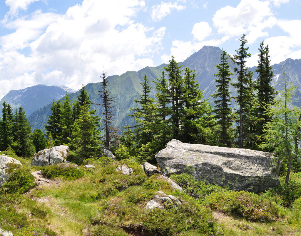 Ihre Berater vor Ort – Reisebüro Omnibus-Taxibetrieb M.Tonnaer GmbH